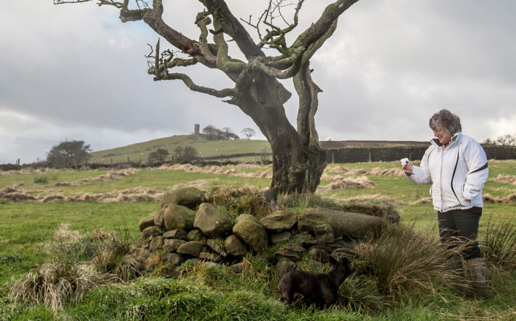 Malkin Tower: Rachel and Andrew Turner on their quest to find the ...